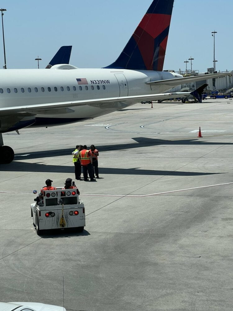 Bee Swarm Causes Flight Delay as Delta Pilot Takes Matters into His Own ...